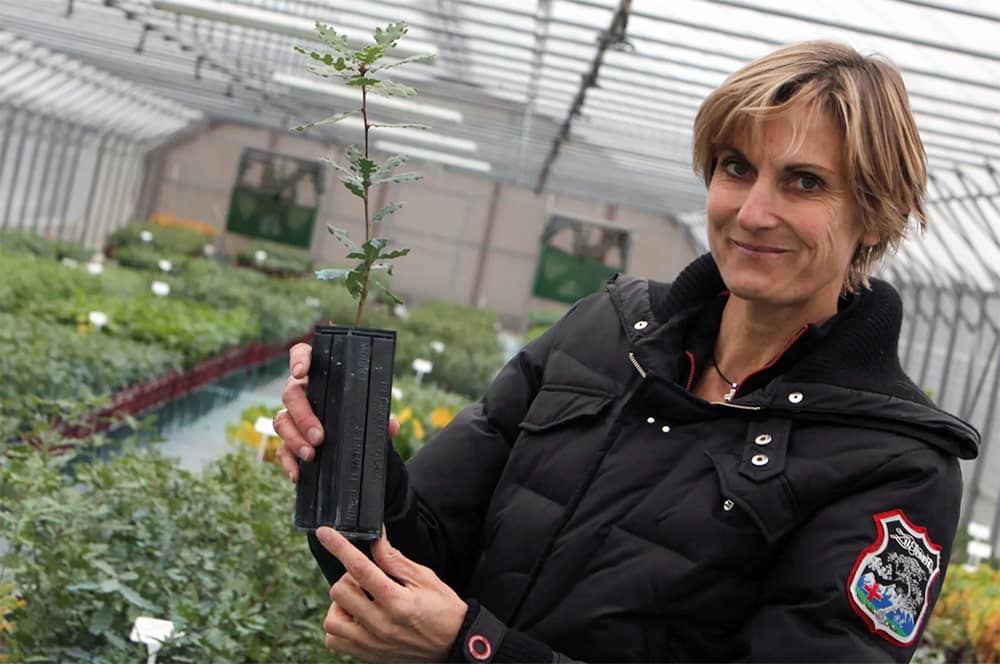 Guide pratique du trufficulteur : Comment réussir sa truffière