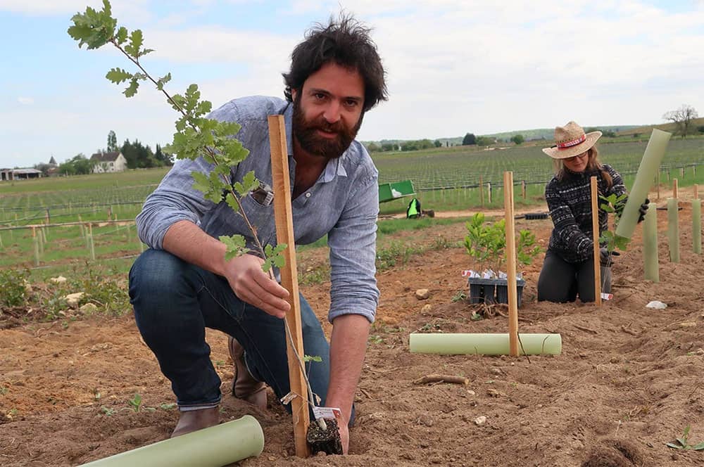 Guide du trufficulteur : Comment réussir son verger à truffes