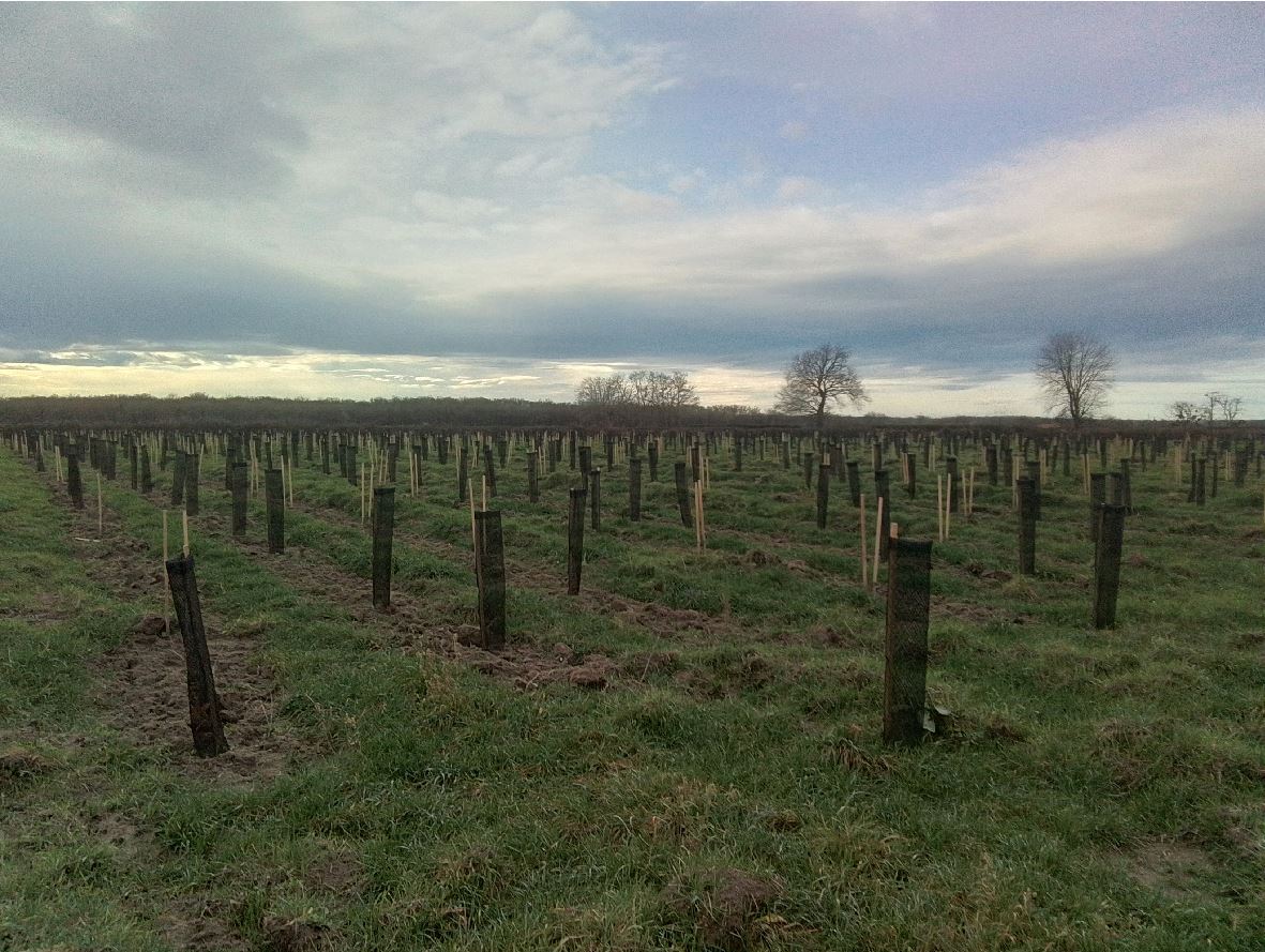 Témoignage de la société LE PAL sur l’Allier (03)