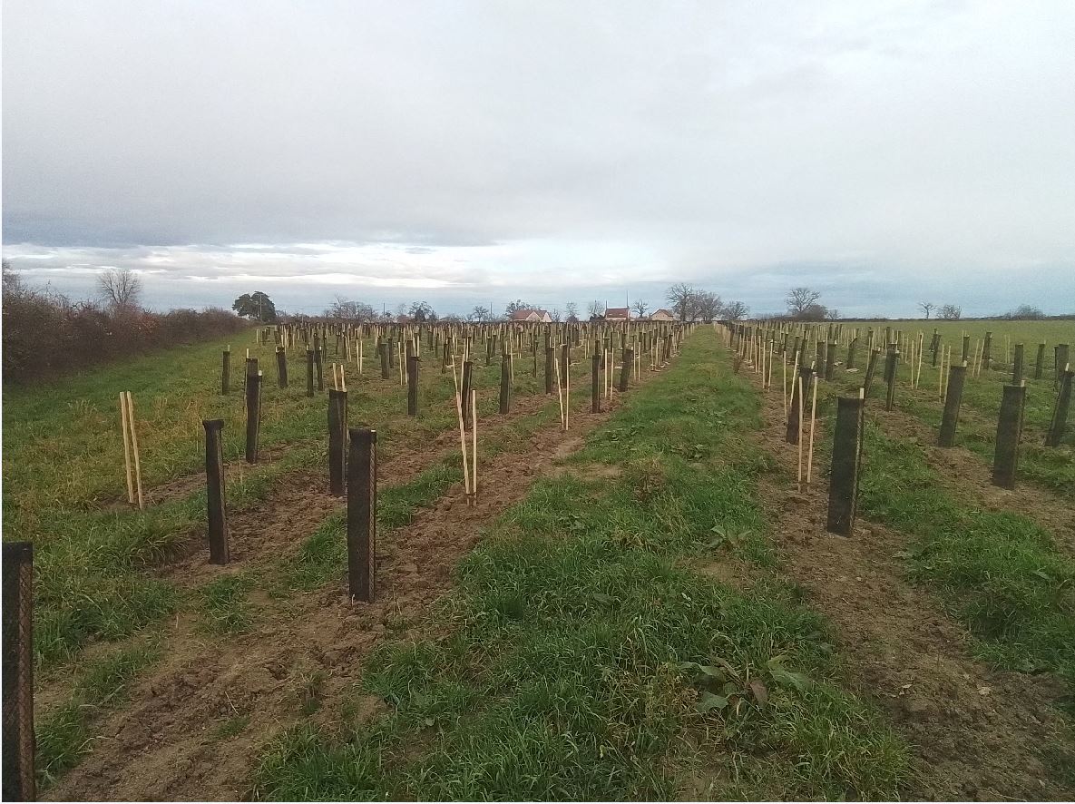 Témoignage de la société LE PAL sur l’Allier (03)