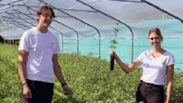 Le Lien Horticole - À 75 ans, Pépinières Robin trace son avenir (N°130 ...